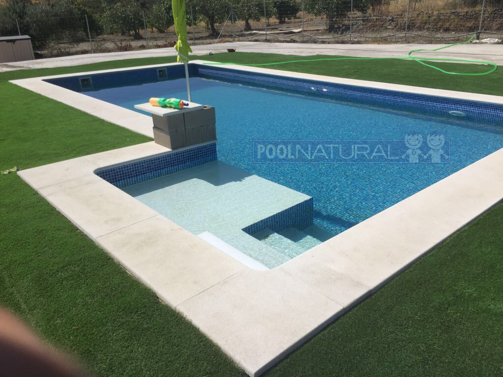 Tu piscina con playa, ¡la última tendencia! - Pool Natural
